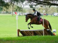 Masterson Equestrian Trust